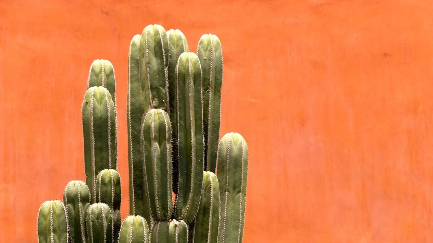 Itinéraire Mexique 10 jours : road trip entre Yucatán et Quintana Roo ...